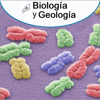 Algaida Editores: referencia en Educación Infantil